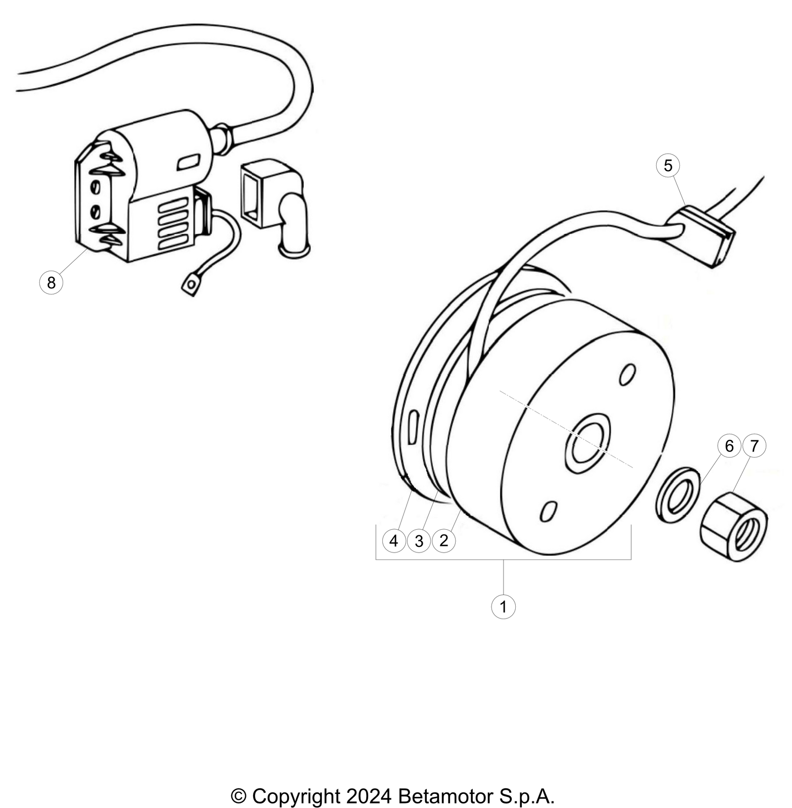 10 IGNITION - Beta Genuine