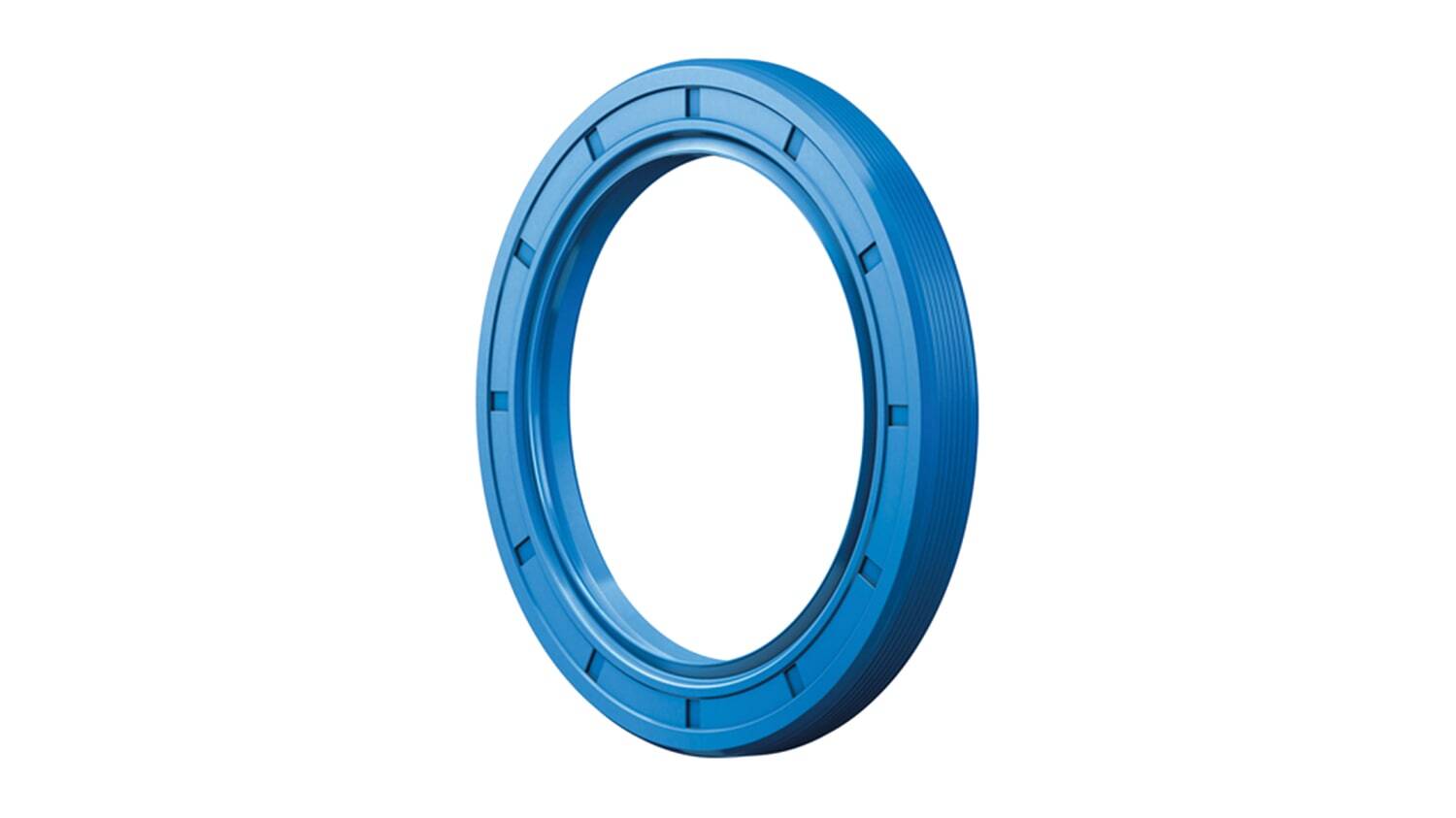 DUST RING / OIL SEAL